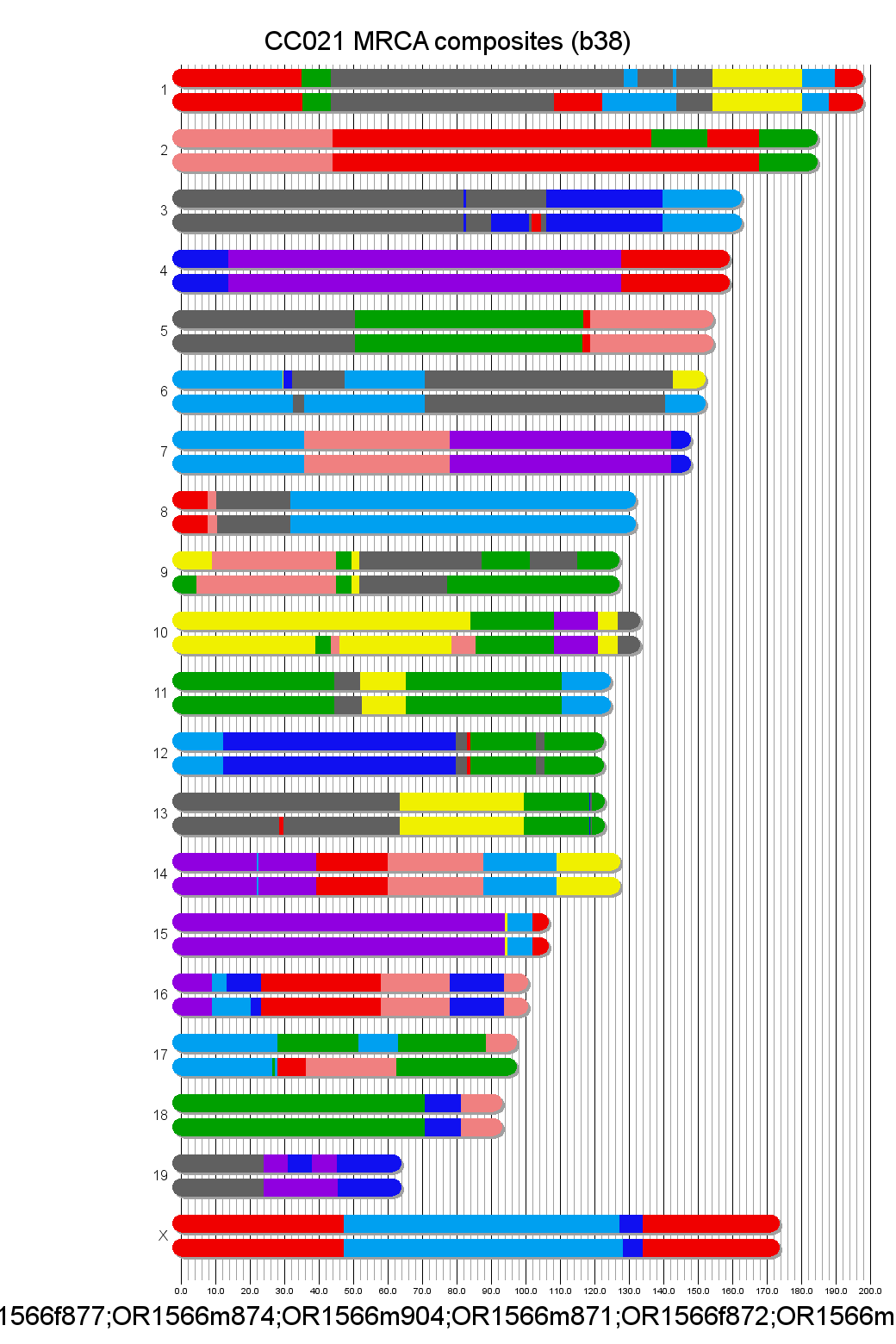 Collaborative Cross Genomes
