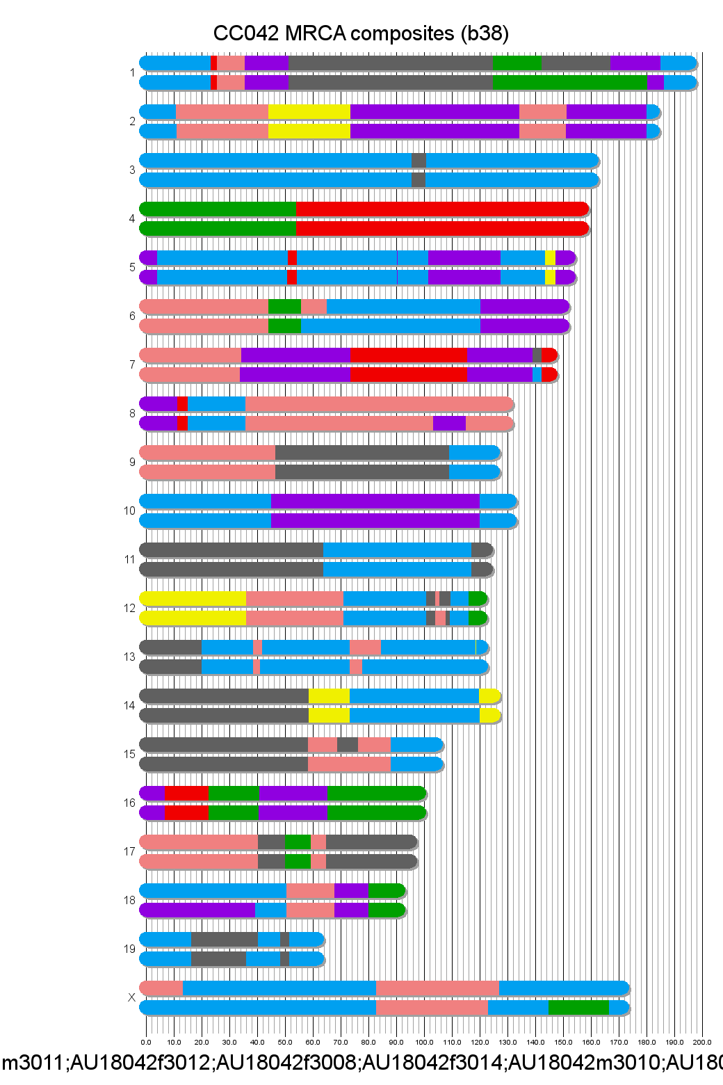 Collaborative Cross Genomes